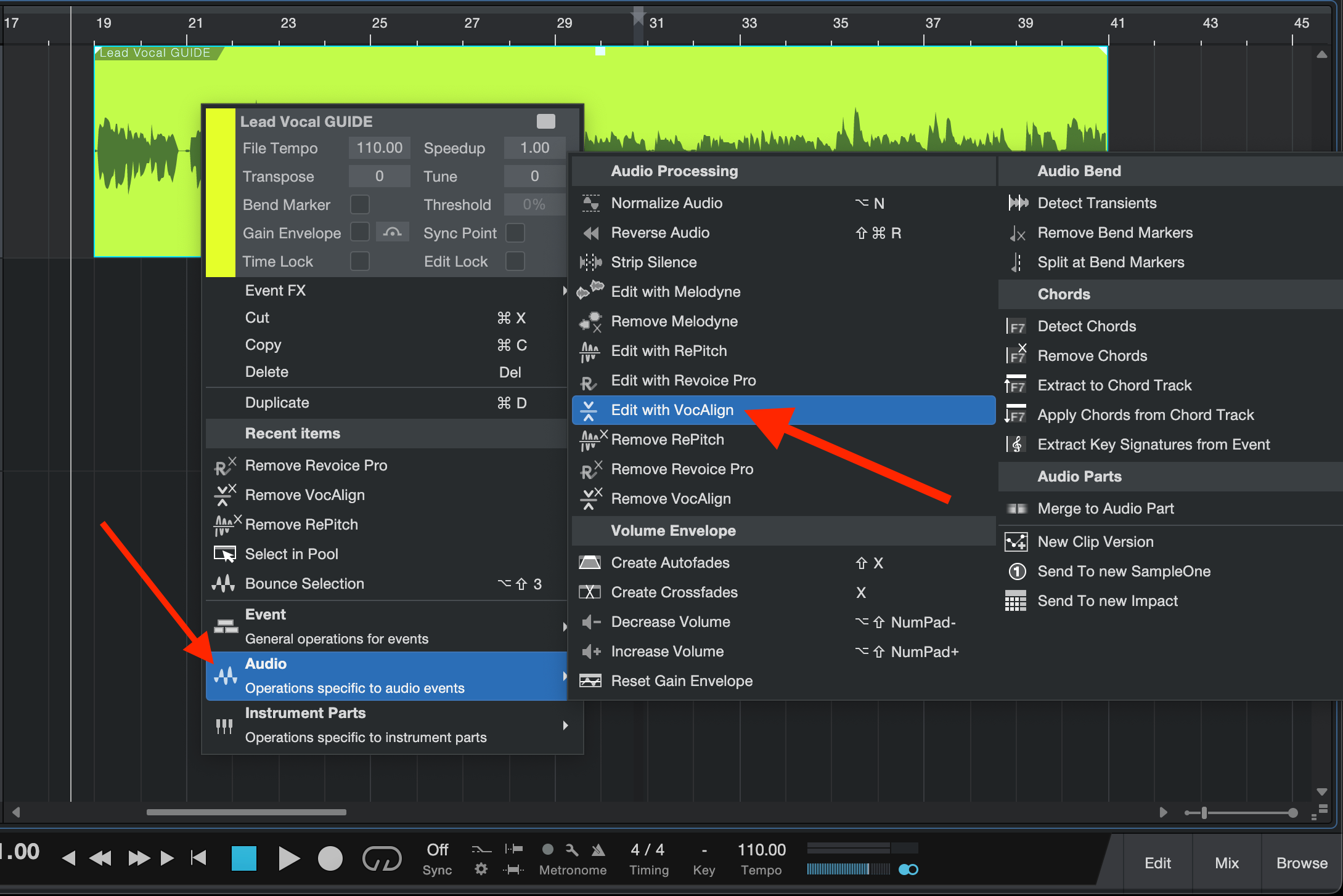 Quick Start Guide for VST3 ARA